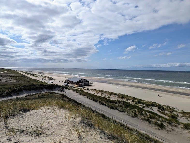 Hundestrand Petten aan Zee - Hundestrand | Sandpfoten